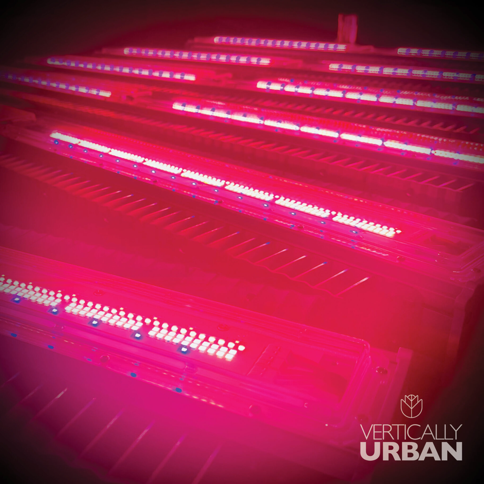 Tunable Spectrum LED grow lights | Vertically Urban